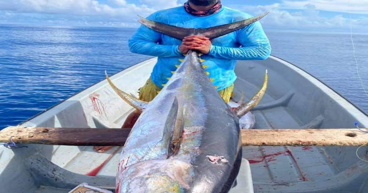 Isla de Pemba - Vacaciones en la playa | GetYourGuide