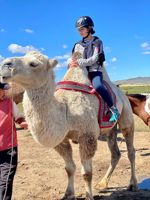 Mini Gobi and Ancient Capital Trip | GetYourGuide