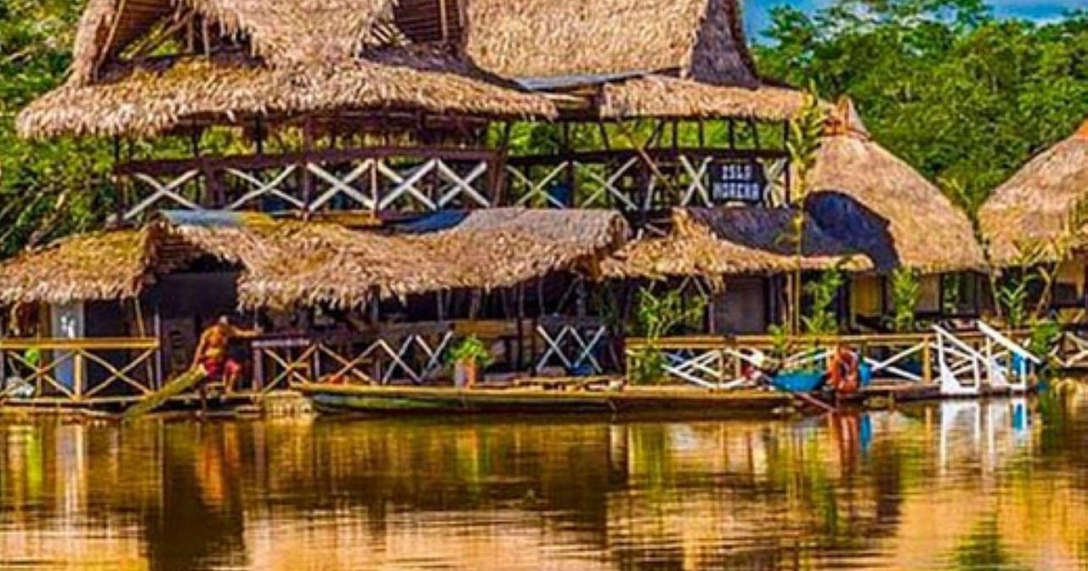 Iquitos || 2 days in the Amazon, natural wonder of the world | GetYourGuide