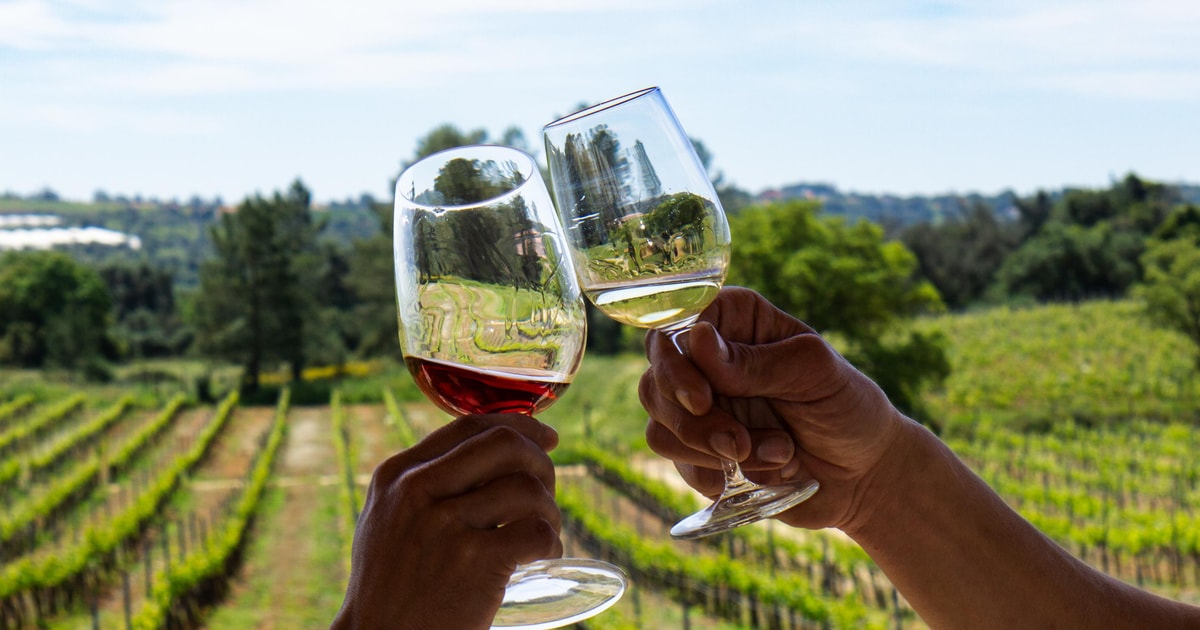 Desde Albufeira: Tour de medio día por las Bodegas y Silves | GetYourGuide