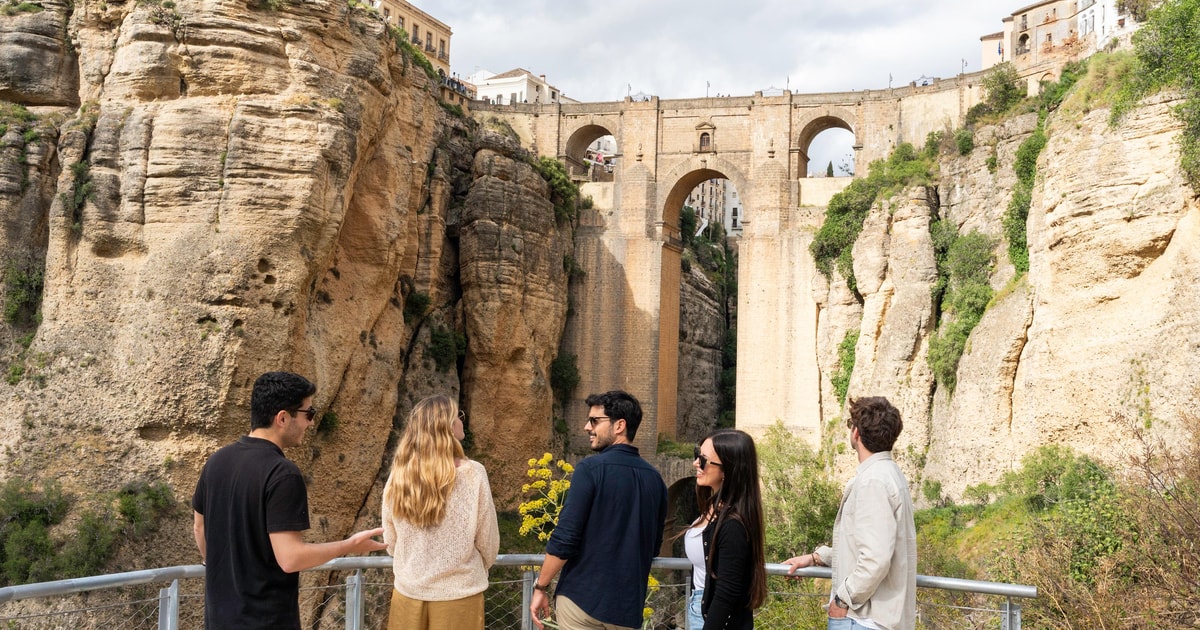 Din Málaga: Ronda, Degustare de vin și ulei de măsline Grup mic ...