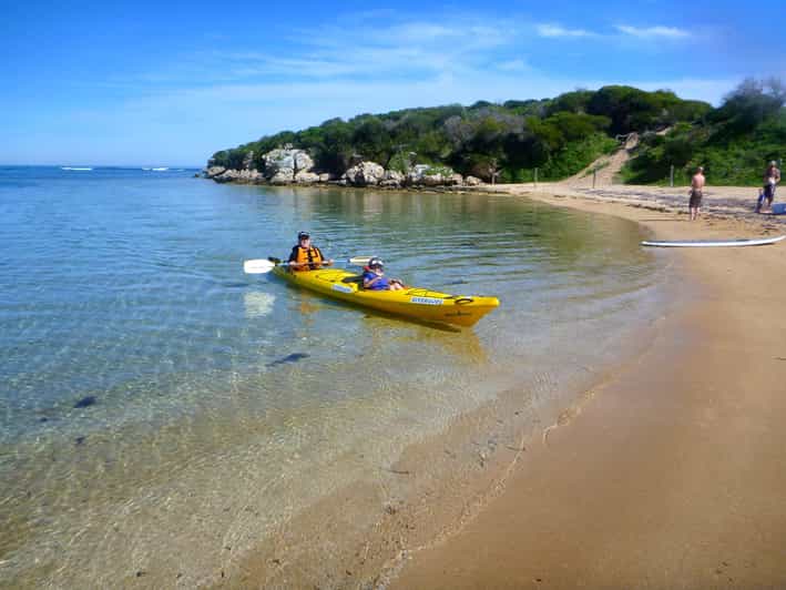 Perth: Shoalwater Islands Marine Park Sea Kayaking Tour | GetYourGuide
