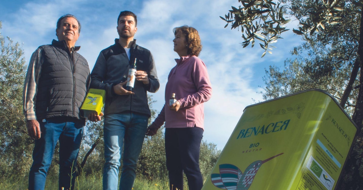 Cata de Aove ecológico y visita guiada a un olivar ecológico familiar ...