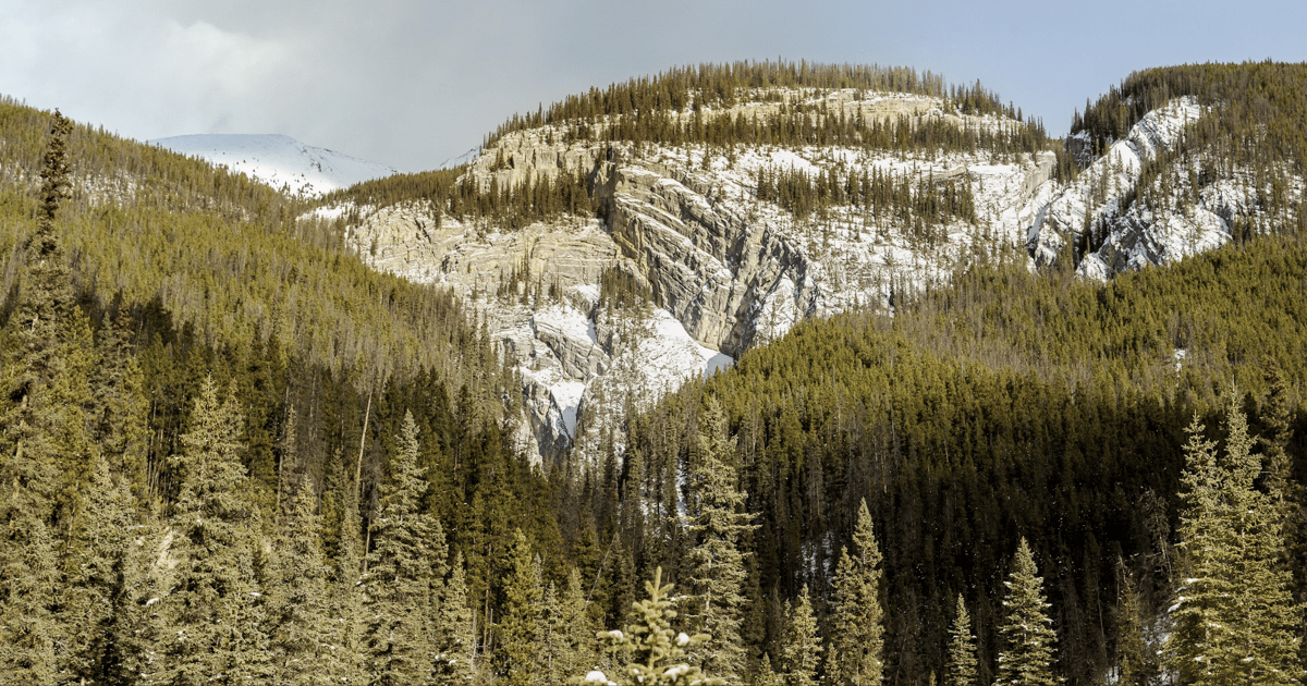 Jasper Tour guiado por el Parque Nacional de Jasper | GetYourGuide