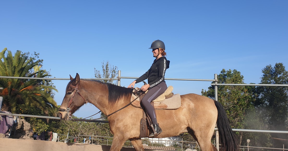 Riding lesson for beginners 1 hour, lots of information | GetYourGuide