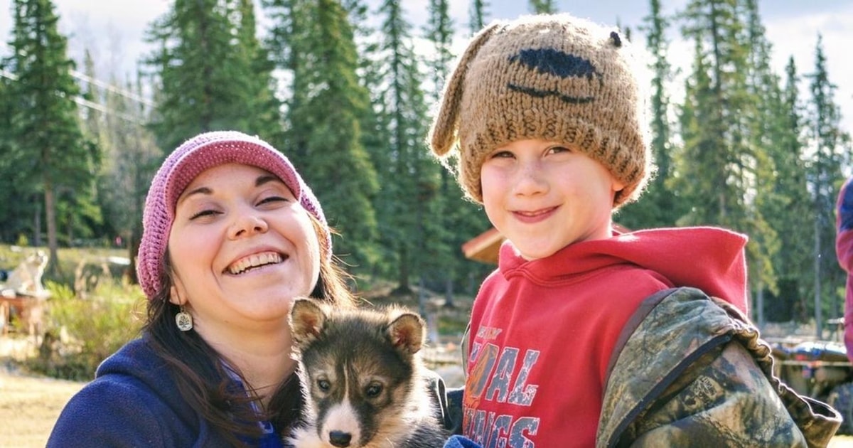 Denali: Husky Homestead Tour | GetYourGuide