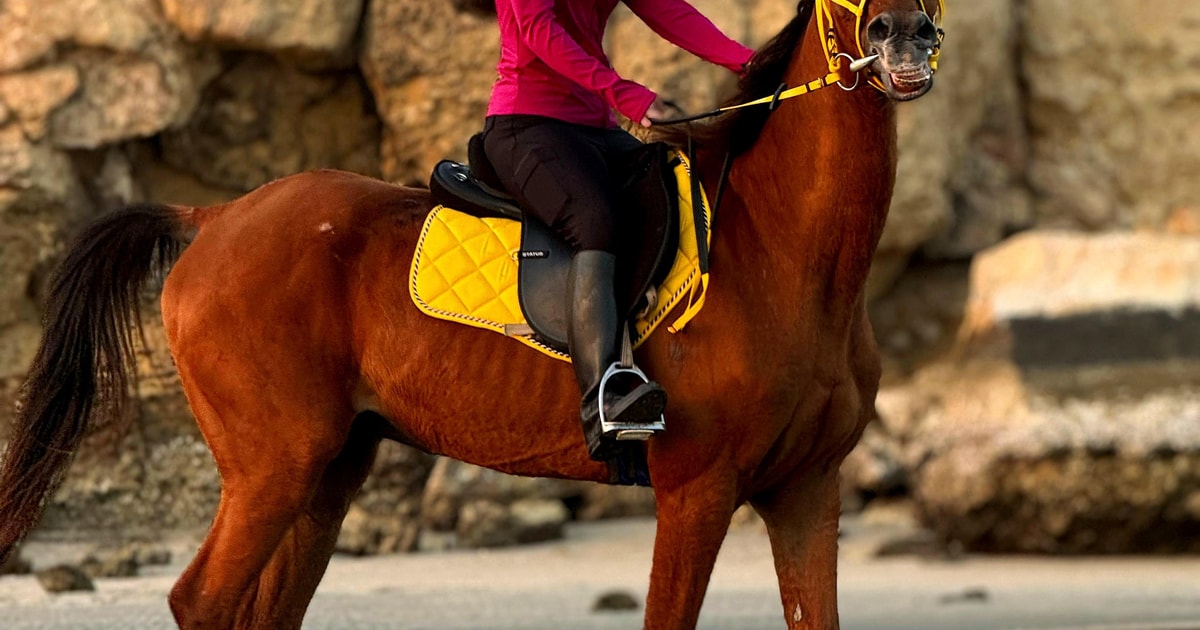 Horse Riding Muscat | Beach Horse Riding | GetYourGuide