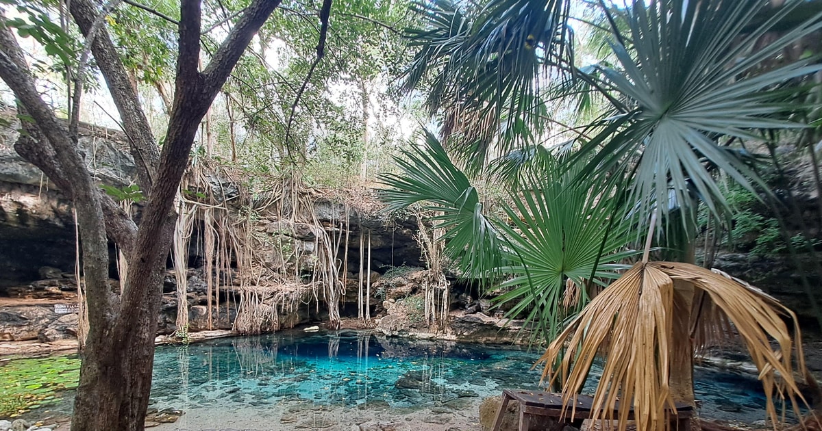 Discover the Serenity: A Tour of the Hidden Cenotes | GetYourGuide
