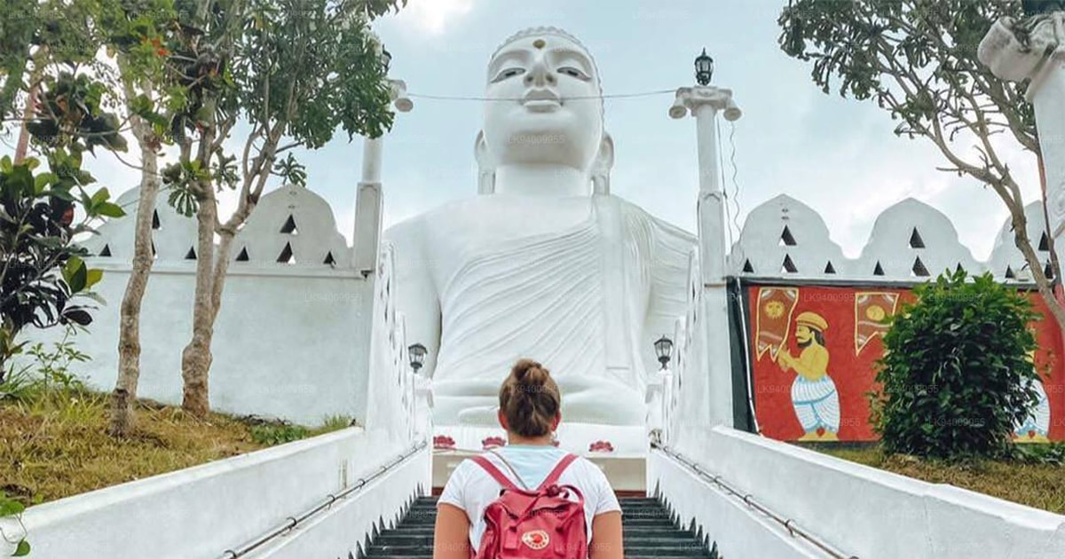 Kandy City Explore Tour - Privat tur med lokal guide | GetYourGuide