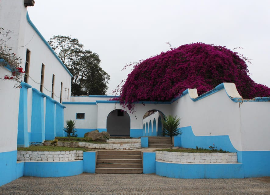 From Lima: Full-day tour of the province of Huaral | GetYourGuide
