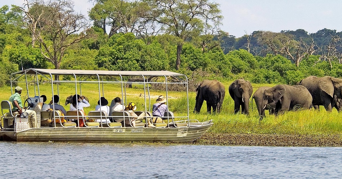 Livingstone: Safari por el Parque Nacional de Chobe con almuerzo ...