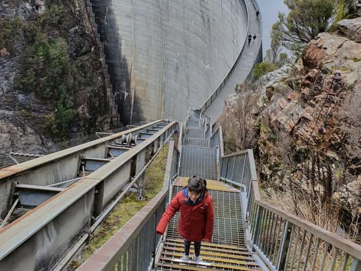 From Hobart: Gordon Dam and Lake Pedder Wilderness Day Tour | GetYourGuide