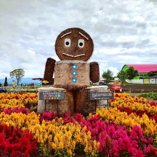 Hokkaido Asahiyama Zoo, Biei, Aoike, Elf Terrace Day Tour | GetYourGuide