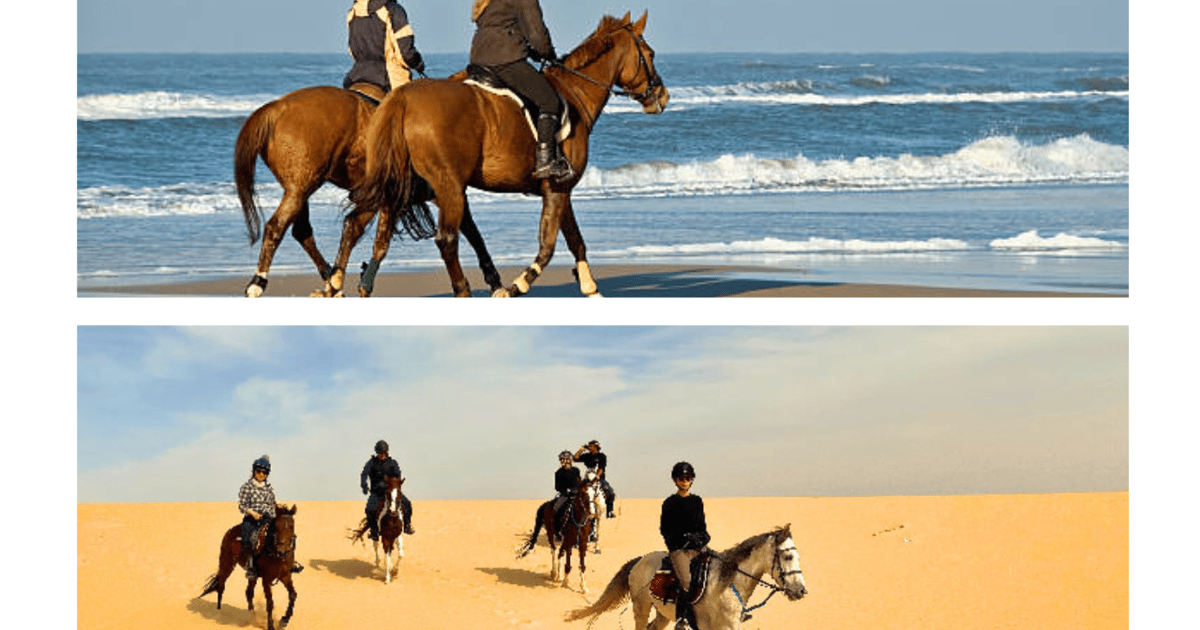 Doha: Cavallo arabo nel deserto o in riva al mare | GetYourGuide