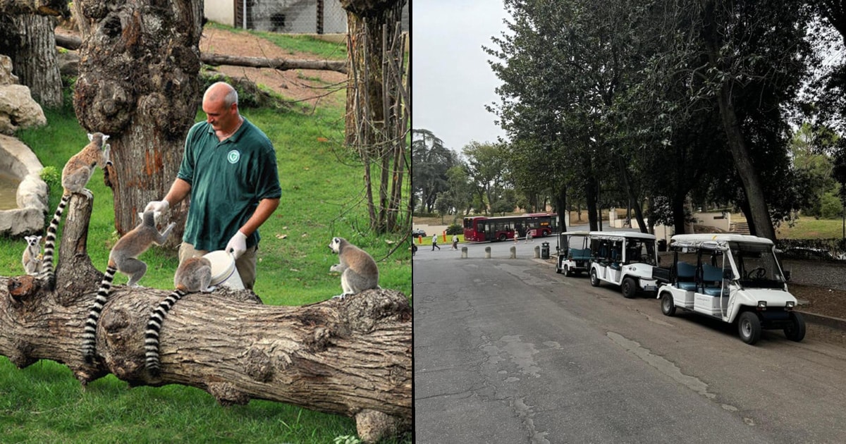 Roma: Biglietto d’ingresso allo Zoo+Tour in Golf Cart di Villa Borghese ...