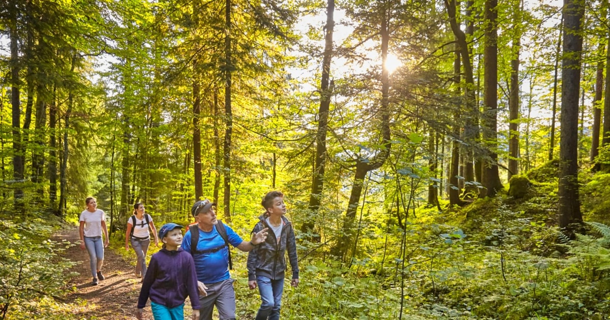 Lucerna: Excursión guiada al Pilatus con barbacoa | GetYourGuide