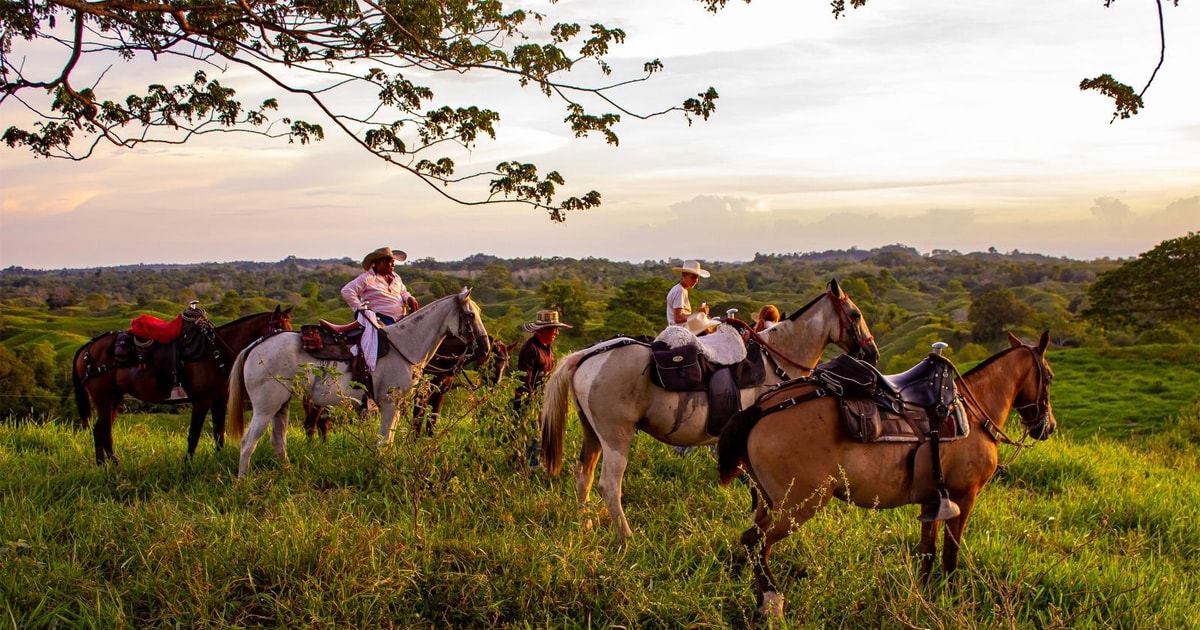 Depuis Medellin ; (Tout compris) La véritable expérience d'un ranch à ...