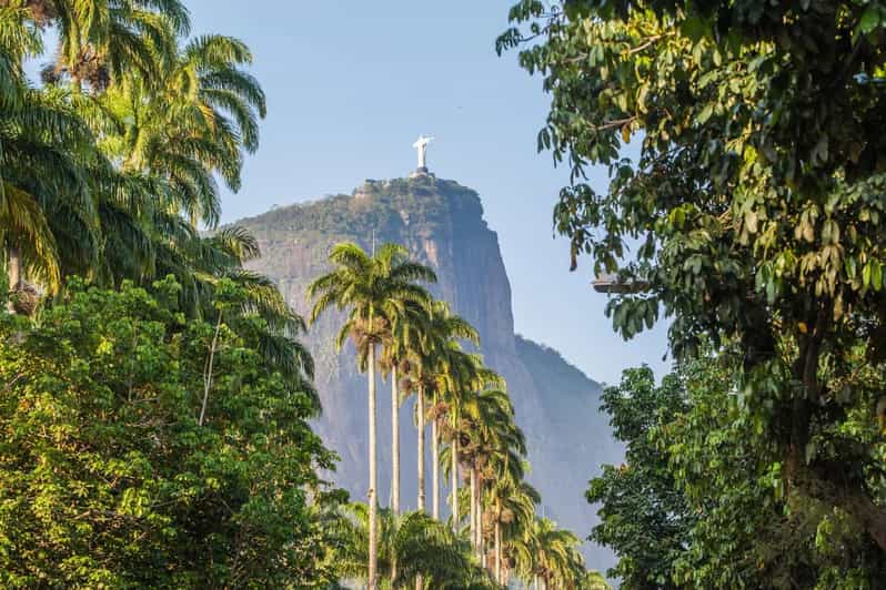 Rio de Janeiro : Visite du parc national et du jardin botanique de ...
