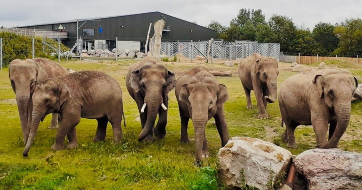 Blackpool Ticket de entrada al zoo | GetYourGuide