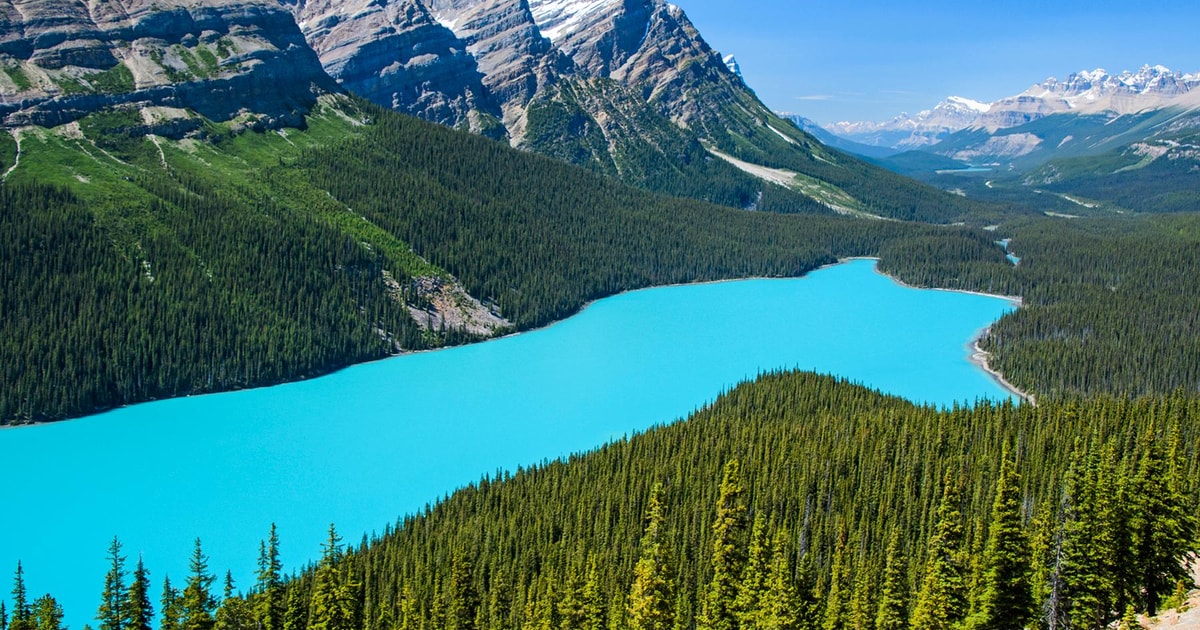 Best of Glaciers from Calgary/Canmore/Banff: Tour | GetYourGuide