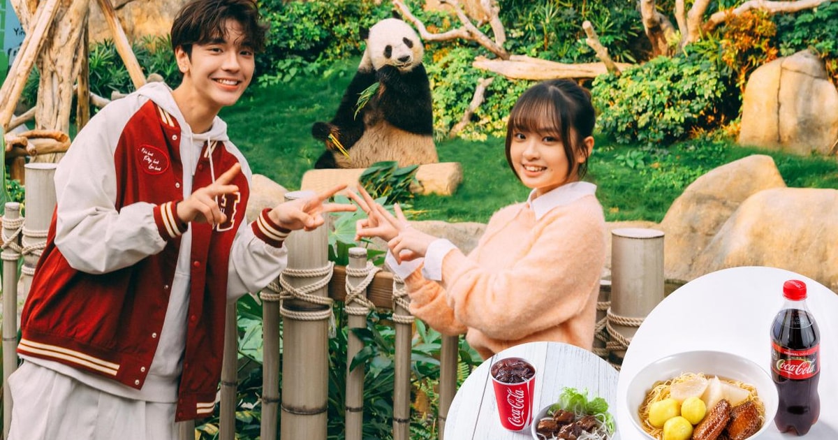 Hong Kong: Ocean Park Entry Ticket + Local Style Set Meal | GetYourGuide