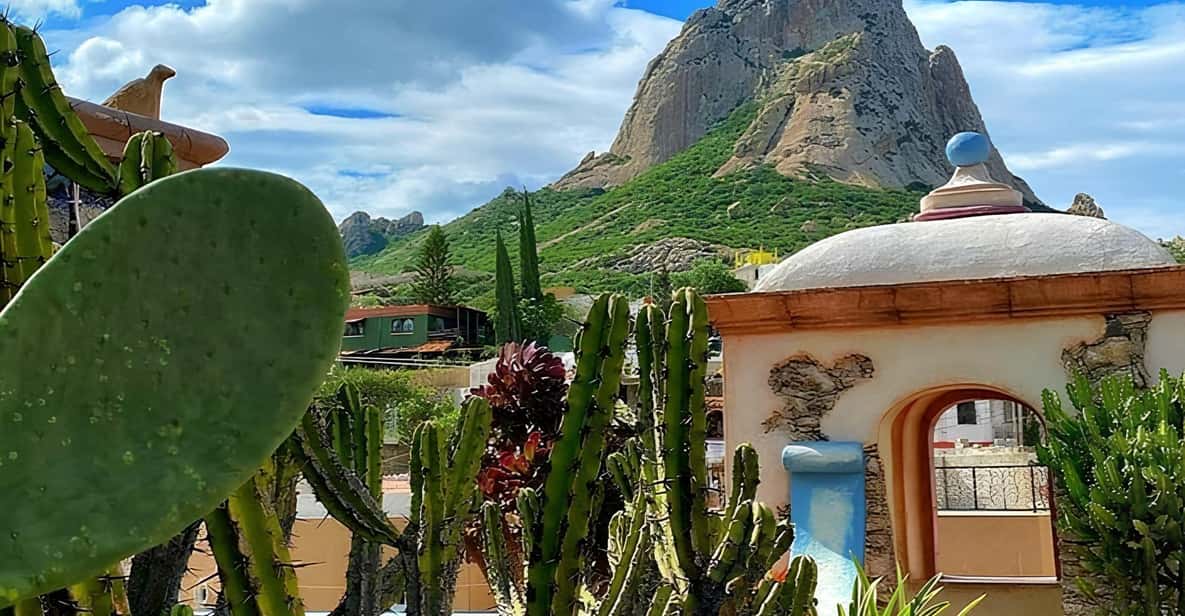 From Mexico City: Wine, Cheese and Art Gastronomic Route through ...
