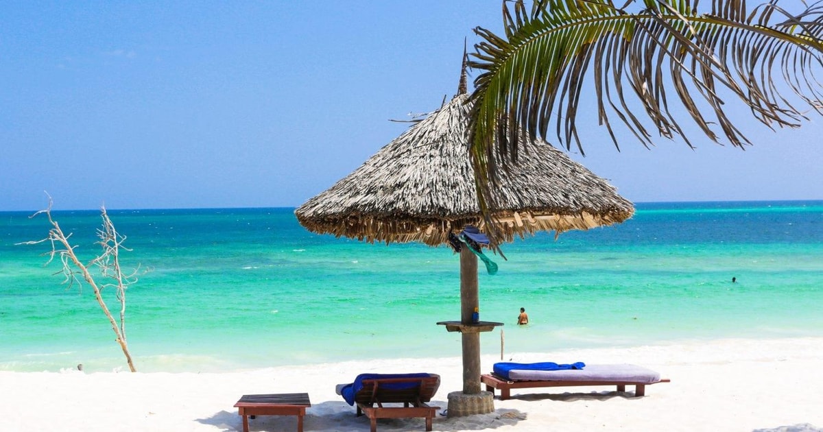 12 Daagse Best Of Tanzania Safari en Zanzibar Strand Tour | GetYourGuide