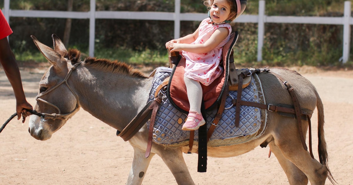 Kigali: Experiencia de montar en burro para niños | GetYourGuide