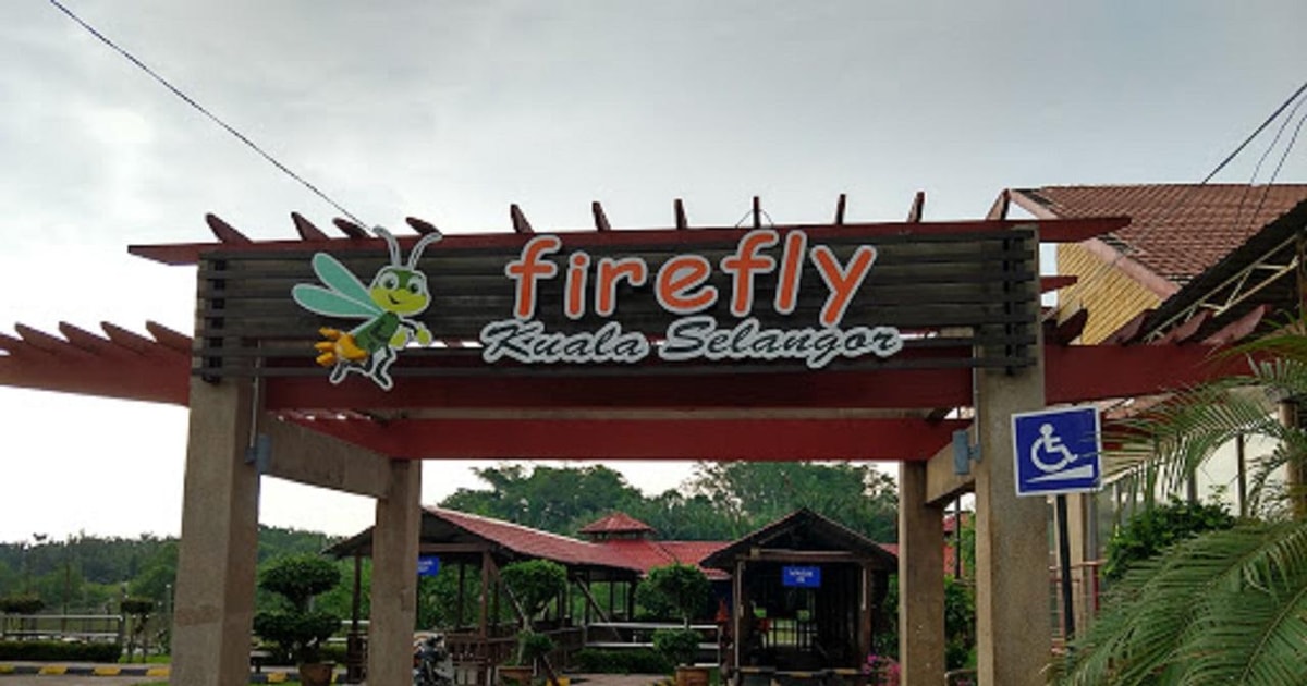 Firefly, Eagle Feeding, and Blue Tears Kuala Selangor Tour | GetYourGuide