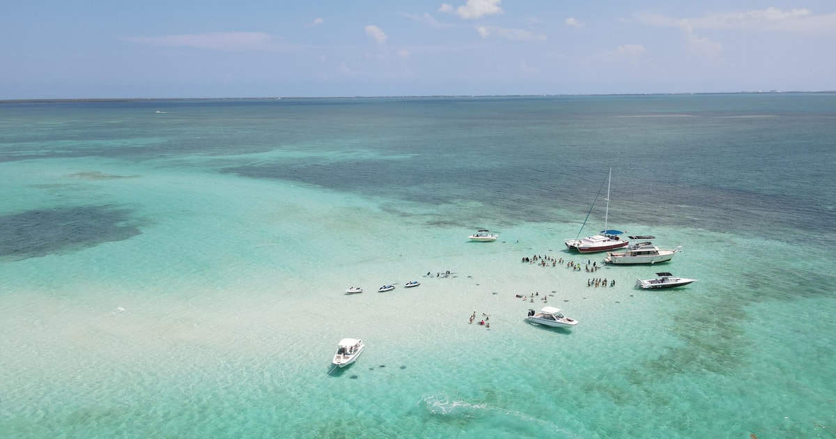 Grand Cayman: Stingray City Catamaran Sunset Tour | GetYourGuide
