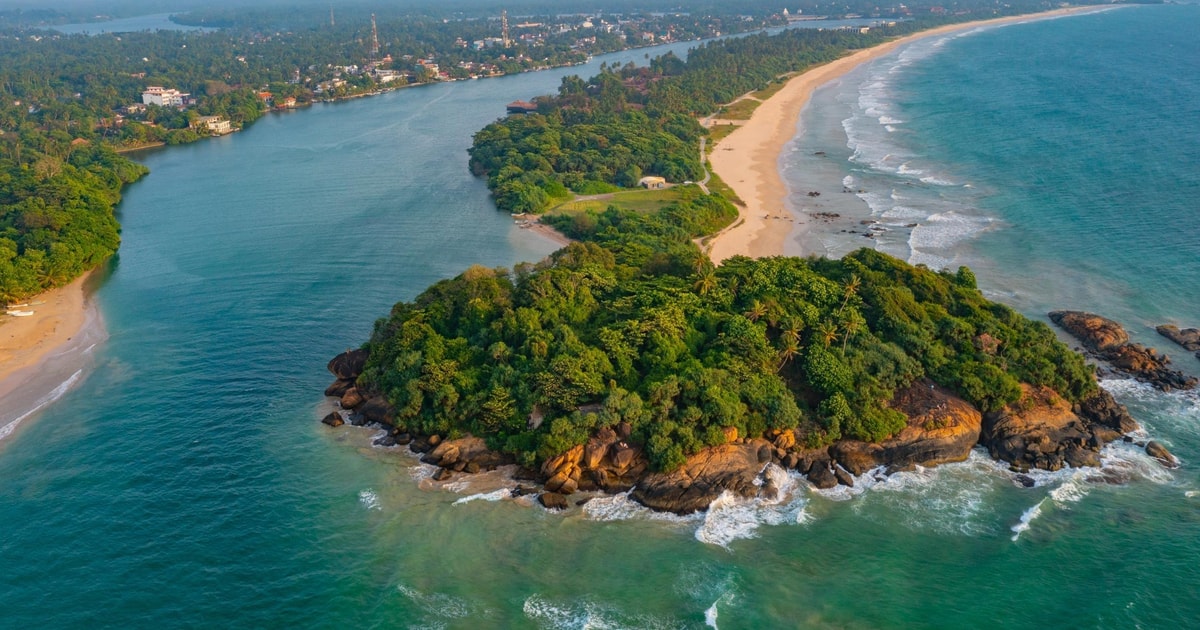 From Colombo: Bentota Day Tour with Madu River Safari | GetYourGuide