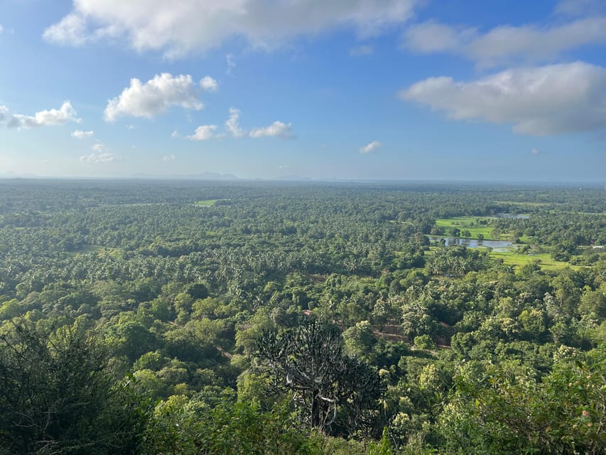 Belleza natural y cultura de Sri Lanka | GetYourGuide