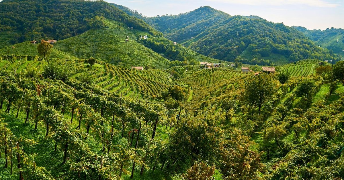 Valdobbiadene: Prosecco private tour & taste with Sommelier | GetYourGuide