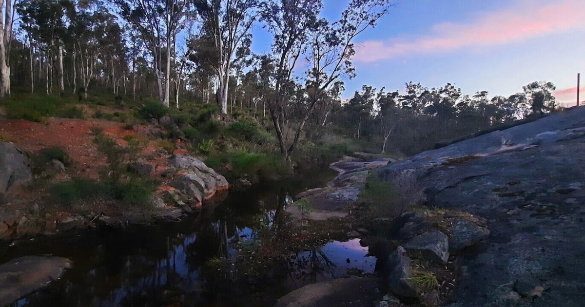 Darling Range Twilight Wander | GetYourGuide