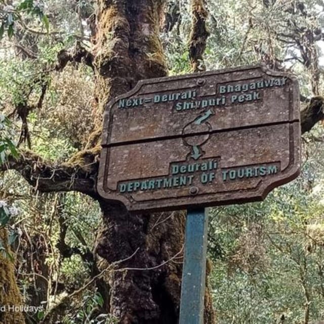 Day Hike to Shivapuri National Park From Kathmandu | GetYourGuide