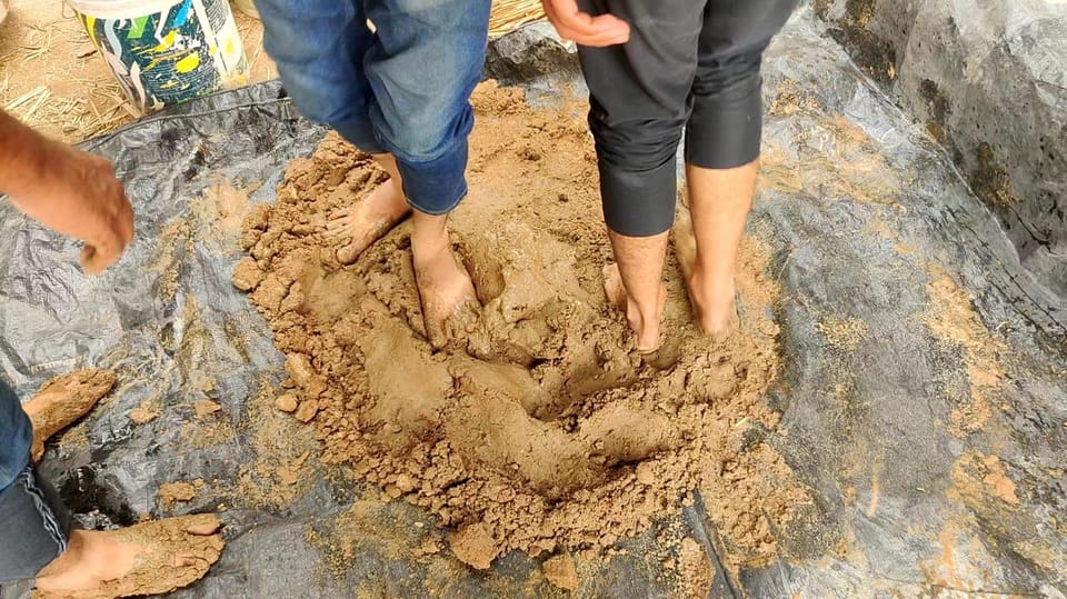Jodhpur: Learn Natural Building- Creating homes with mud | GetYourGuide