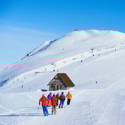 From Melbourne: Mount Buller Day Tour with Resort Entry | GetYourGuide