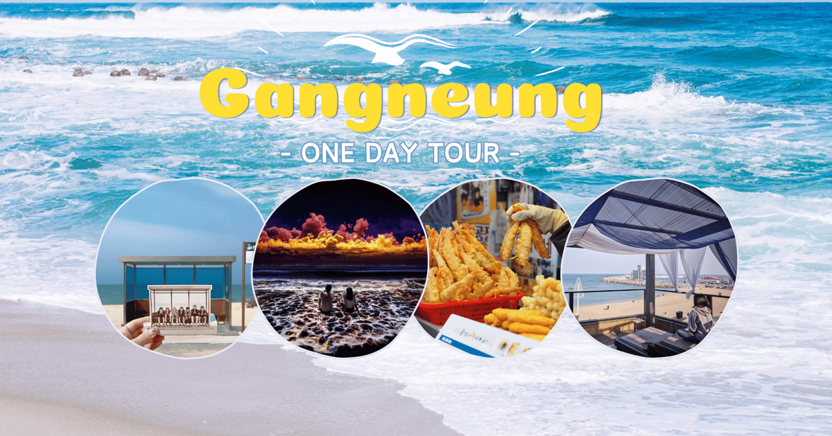 Seoul: Gangneung van K-Pop Band bushalte naar Anmok Beach | GetYourGuide