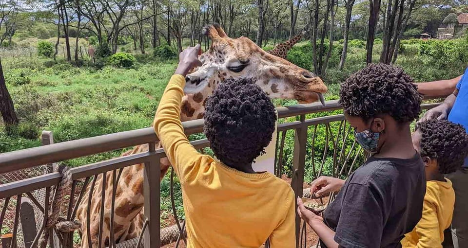 Half Day Sheldrick Wildlife Trust and Giraffe Center | GetYourGuide