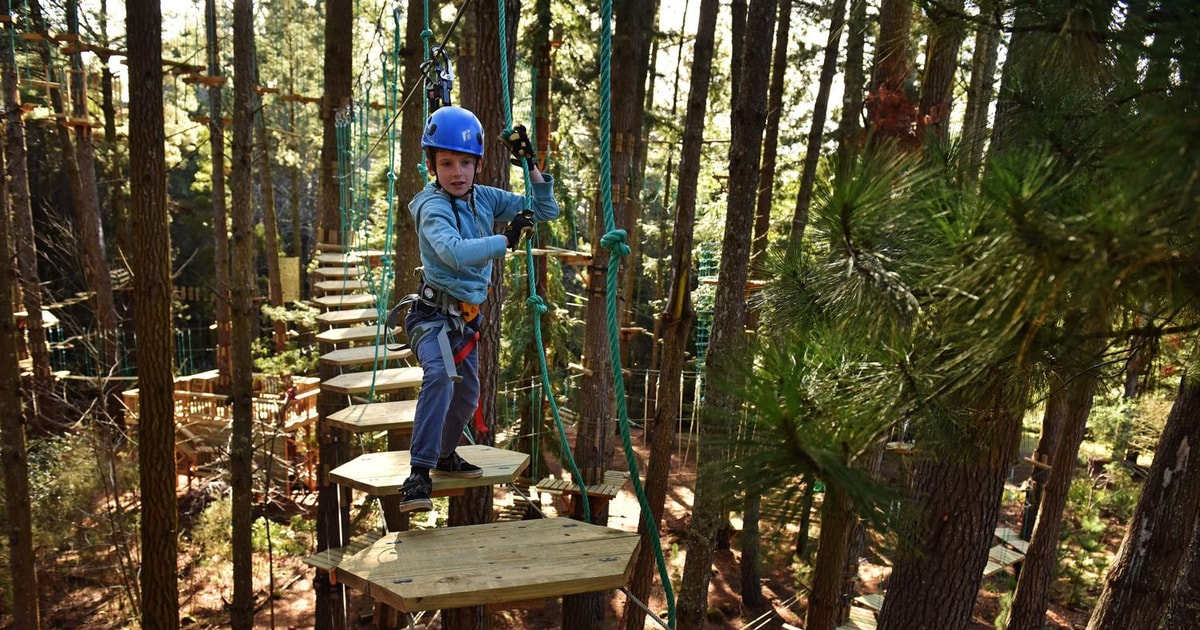 Canberra: Majura Pines Tree Ropes Course | GetYourGuide