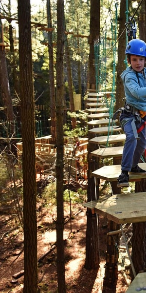 Canberra: Majura Pines Tree Ropes Course | GetYourGuide