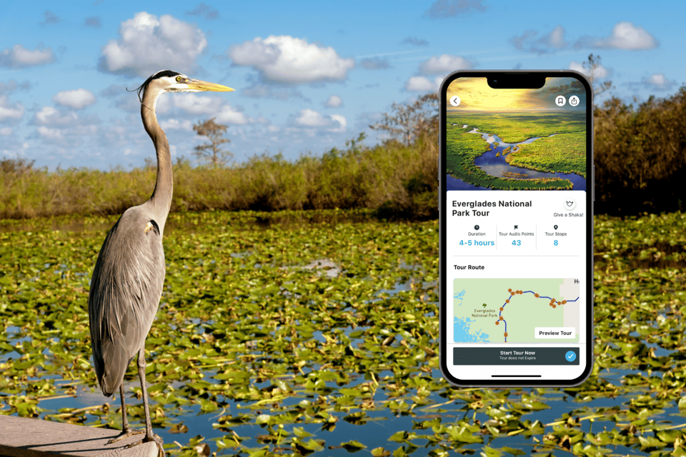 Everglades National Park: Audio Tour Guide | GetYourGuide