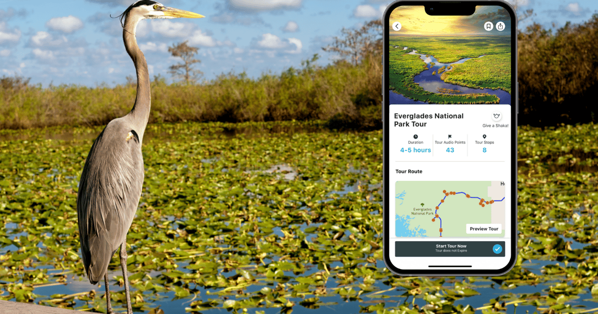 Everglades National Park: Audio Tour Guide | GetYourGuide
