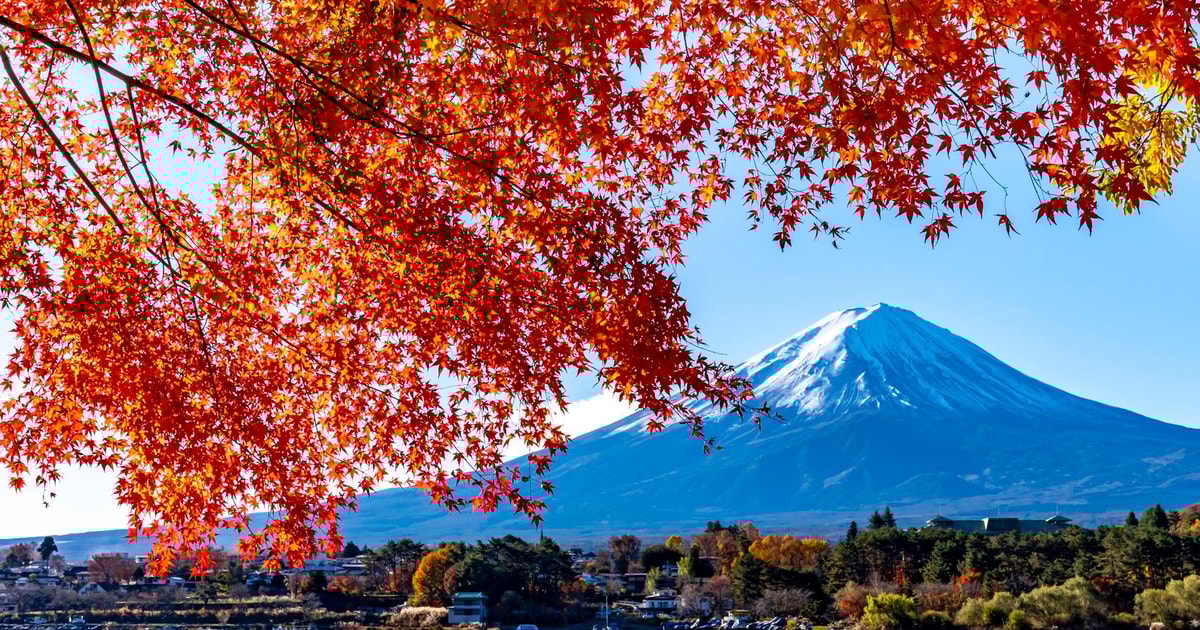 Private Tagestour zum Berg Fuji Hakone mit englischem Fahrer | GetYourGuide