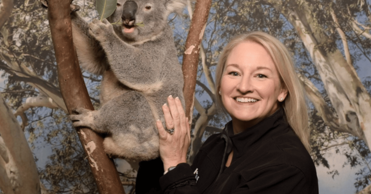 Blue Mountains Tour - Scenic World, Featherdale (Max 10 ppl) | GetYourGuide