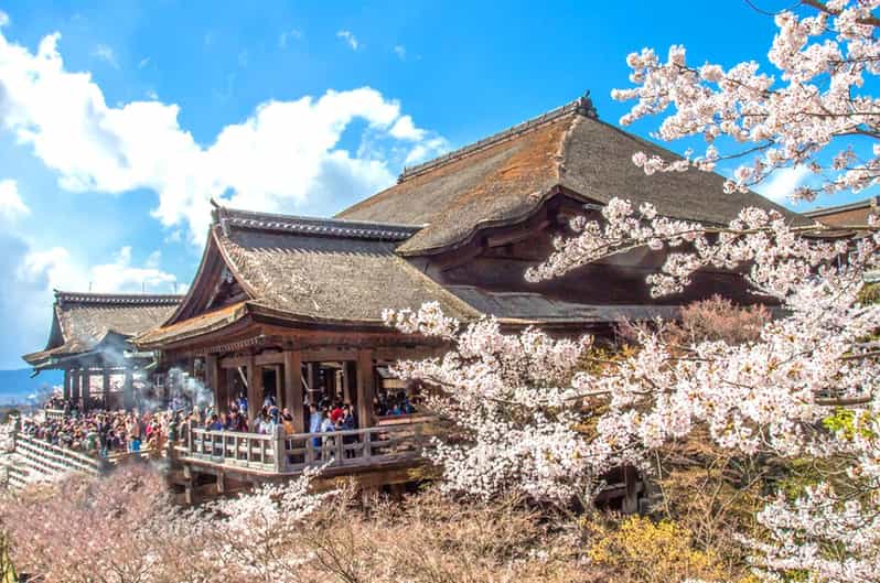 Osaka : Excursion d'une journée à Kyoto et Nara, sites inscrits au ...