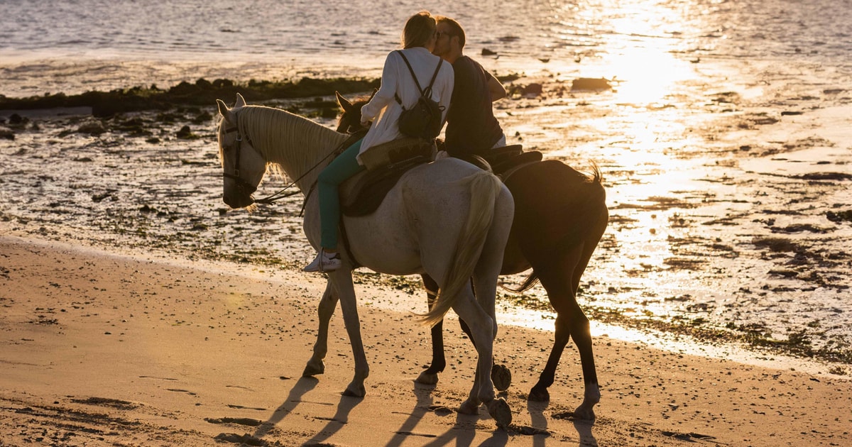Reiten am Strand bei Sonnenuntergang | GetYourGuide