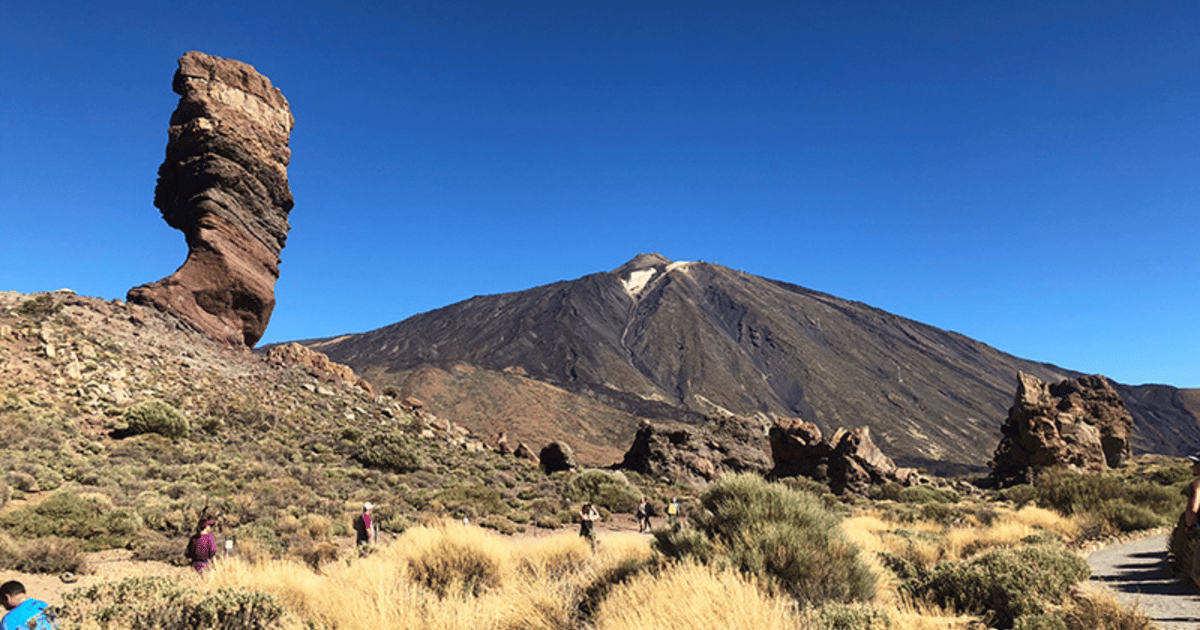 Tenerife: Excursión guiada de un día en guagua al Parque Nacional del ...