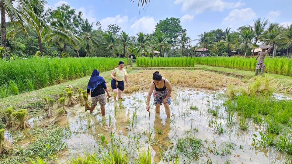 Old Phuket Farm Ticket - Countryside Local Life Culture | GetYourGuide