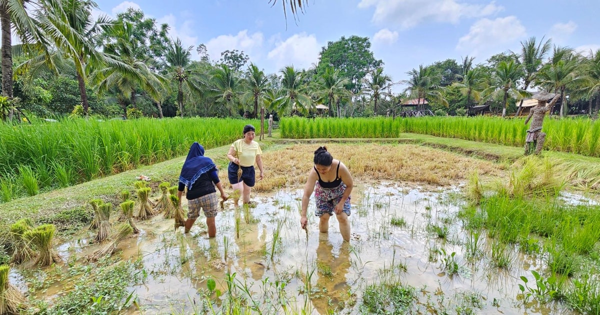 Old Phuket Farm Ticket - Countryside Local Life Culture | GetYourGuide